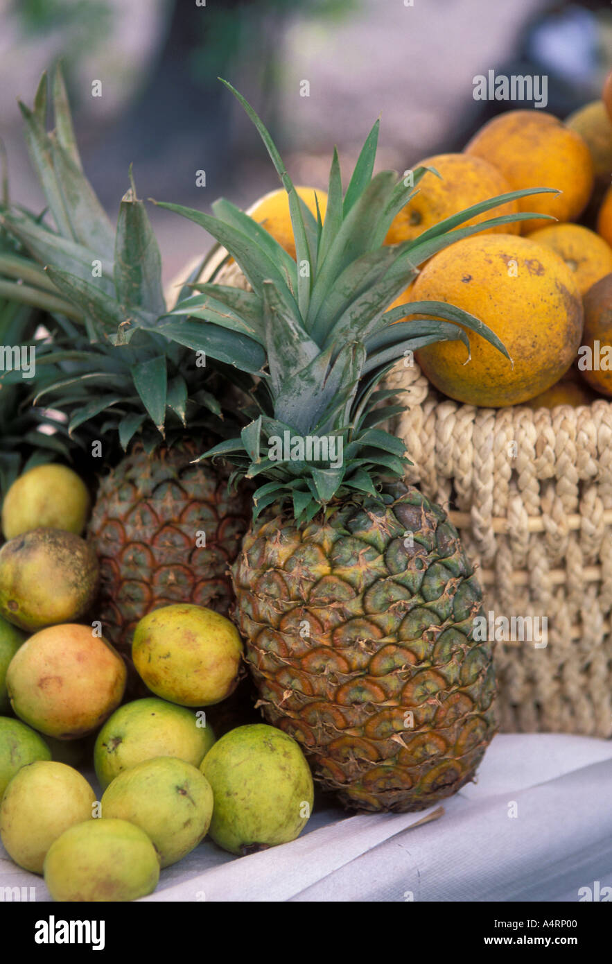 Tropical fruits Martinique Stock Photo - Alamy