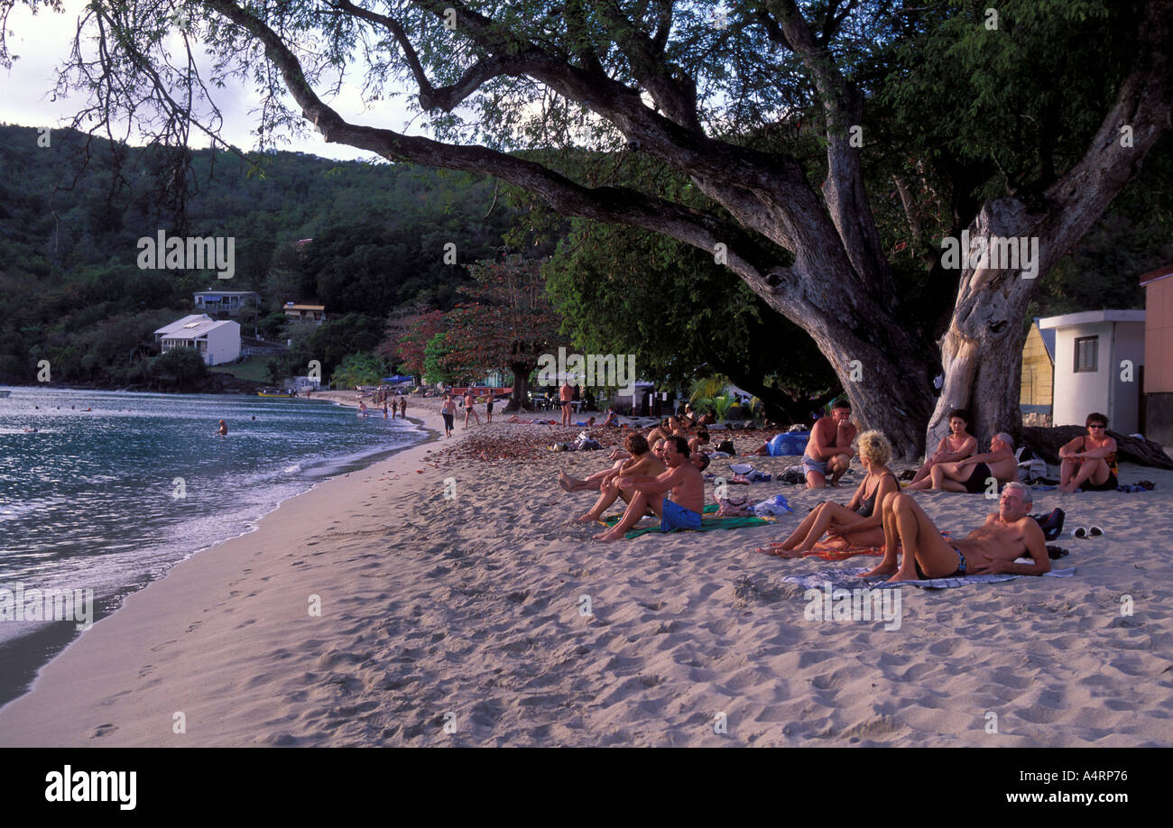 The beach at Anse d Arlet Martinique Stock Photo - Alamy