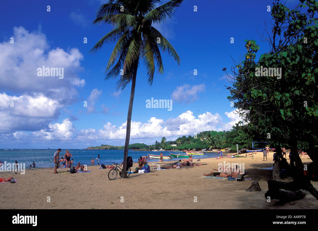 Tartane beach Tartane Caravelle Peninsula Martinique Stock Photo - Alamy