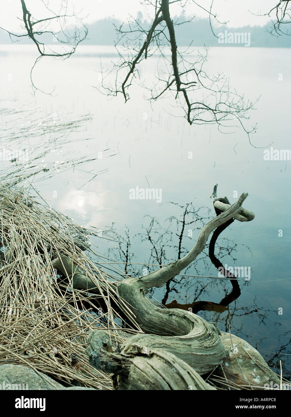 Root of all evil hi-res stock photography and images - Alamy