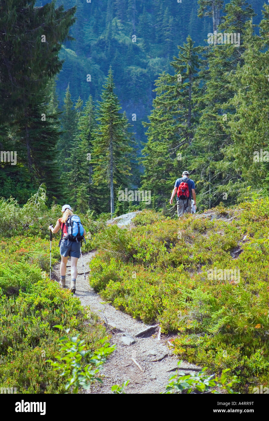 Two hikers on forest trail in Cascade Mountains Washington USA Stock ...