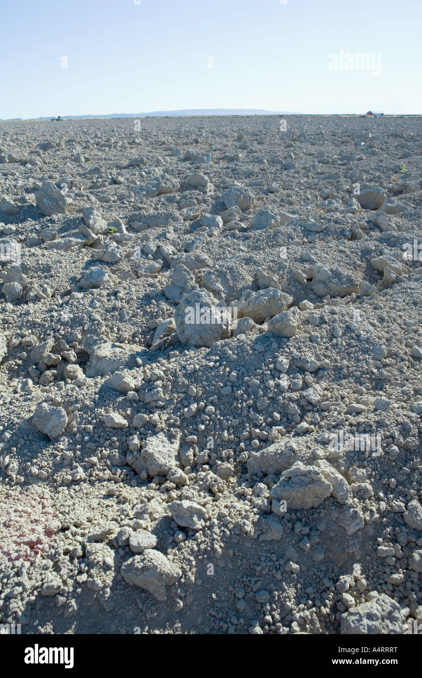 Empty dirt field tilled hi-res stock photography and images - Alamy