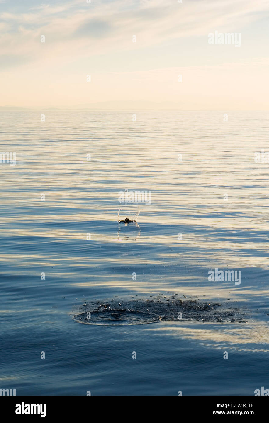 Rock skip hi-res stock photography and images - Alamy