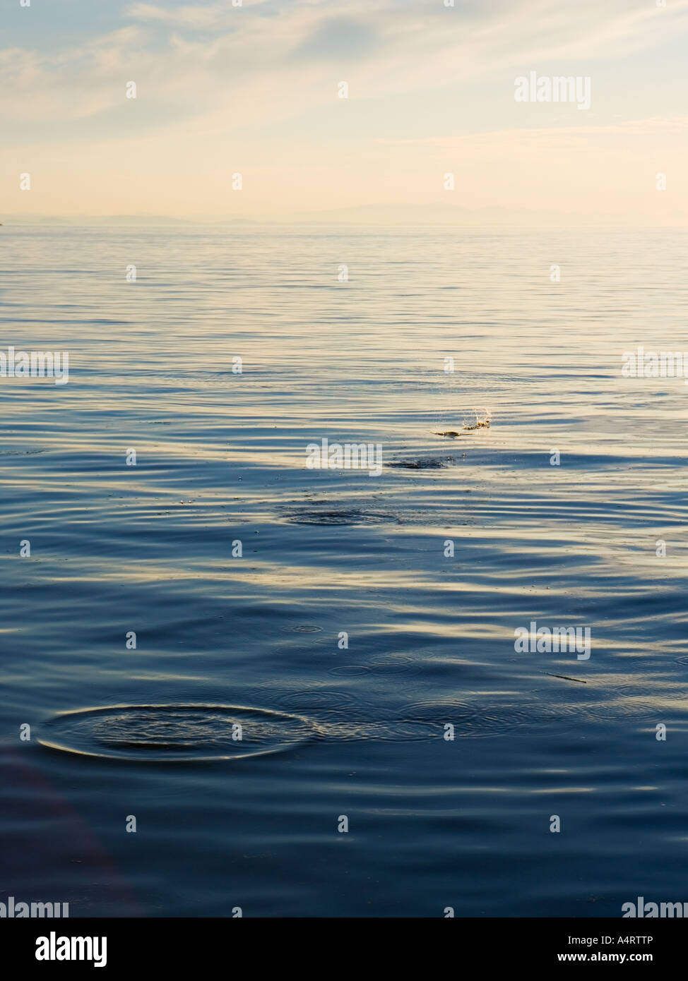 Trail of ripples in water from skipping stone Stock Photo - Alamy