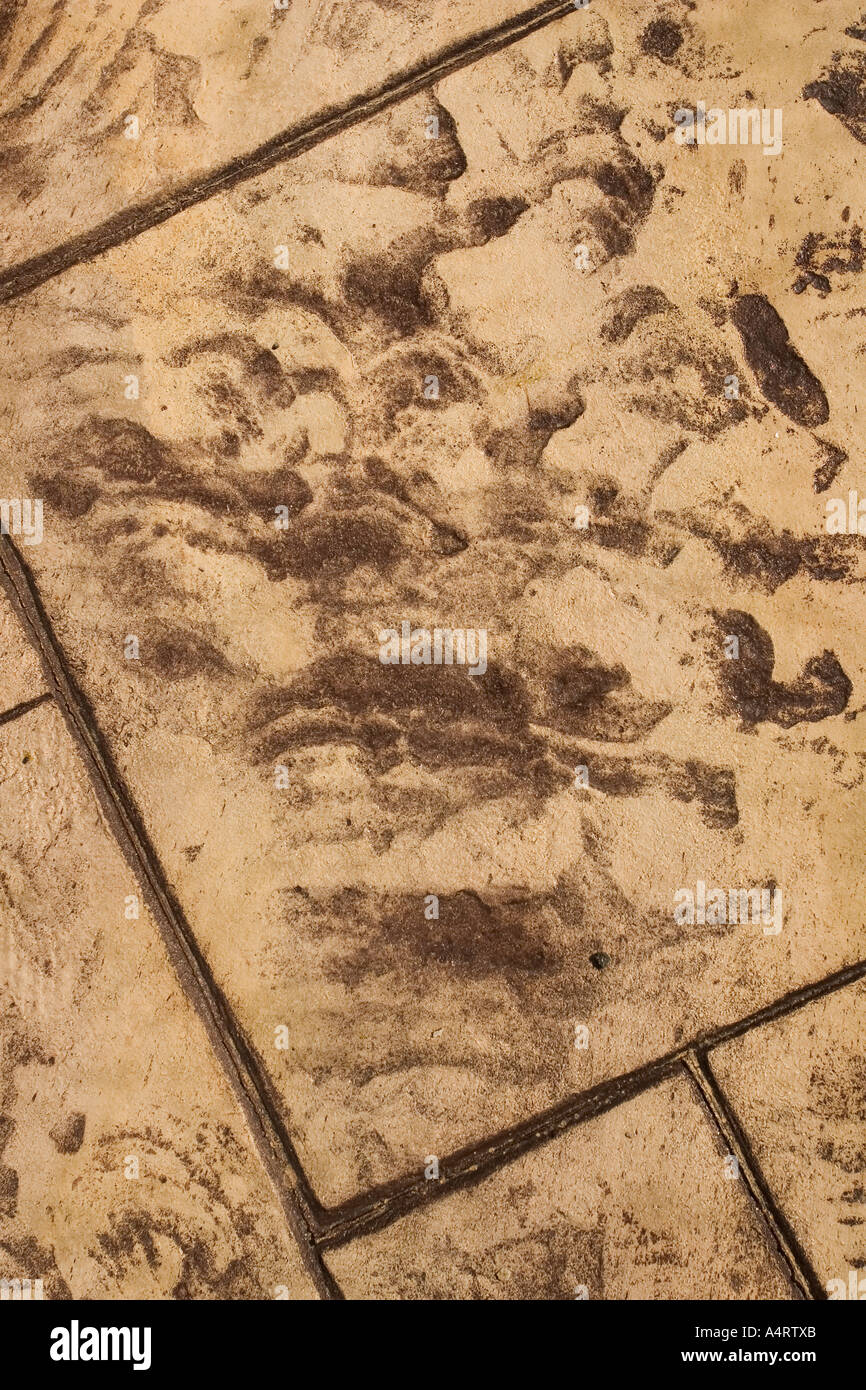 Close up of dirty tiles Stock Photo - Alamy