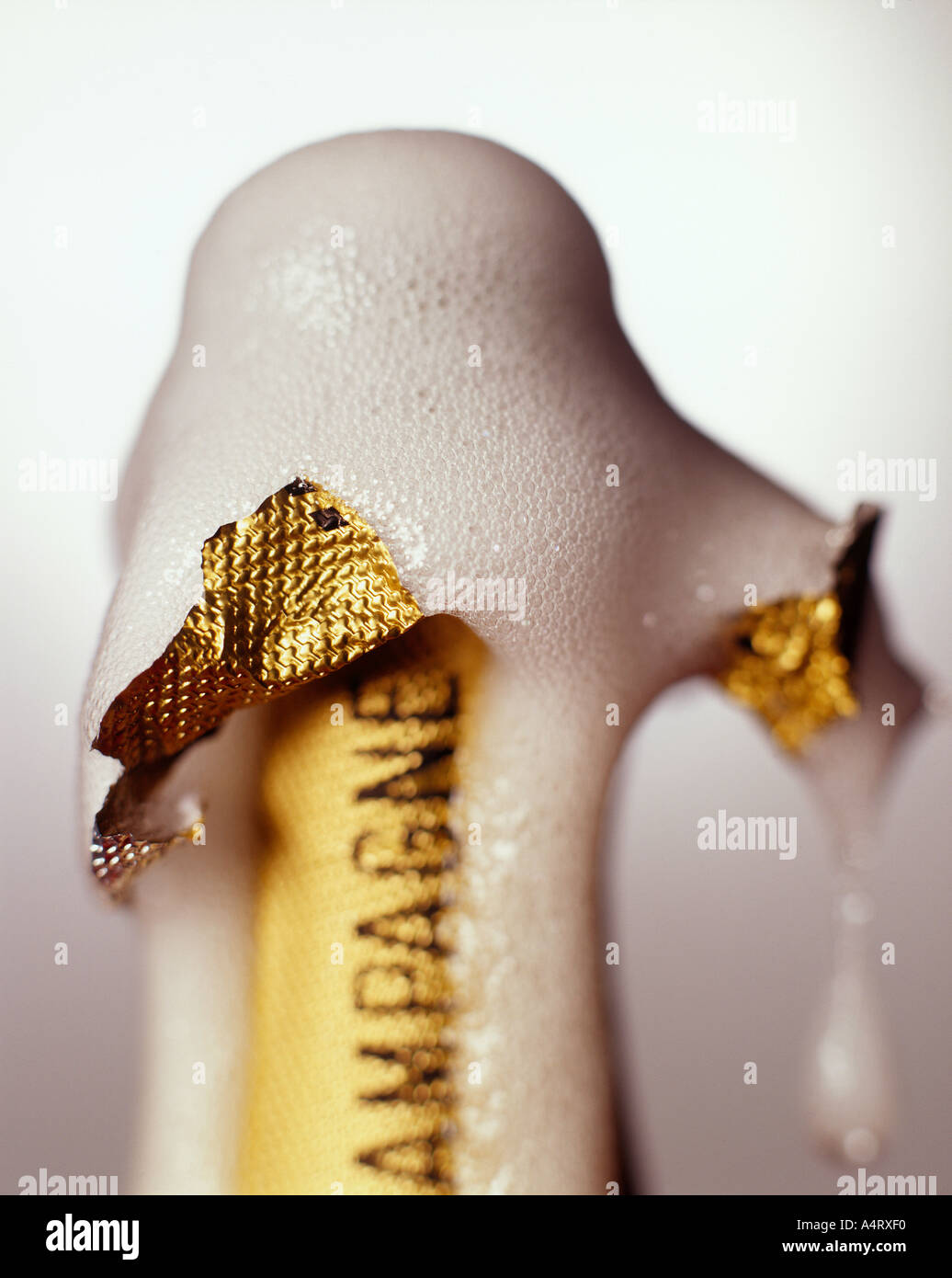 Popping out champagne hi-res stock photography and images - Alamy
