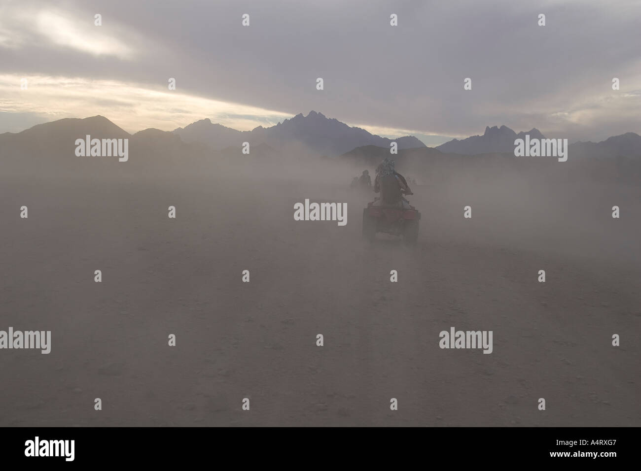 Rear view of group of people riding quad bikes Stock Photo - Alamy