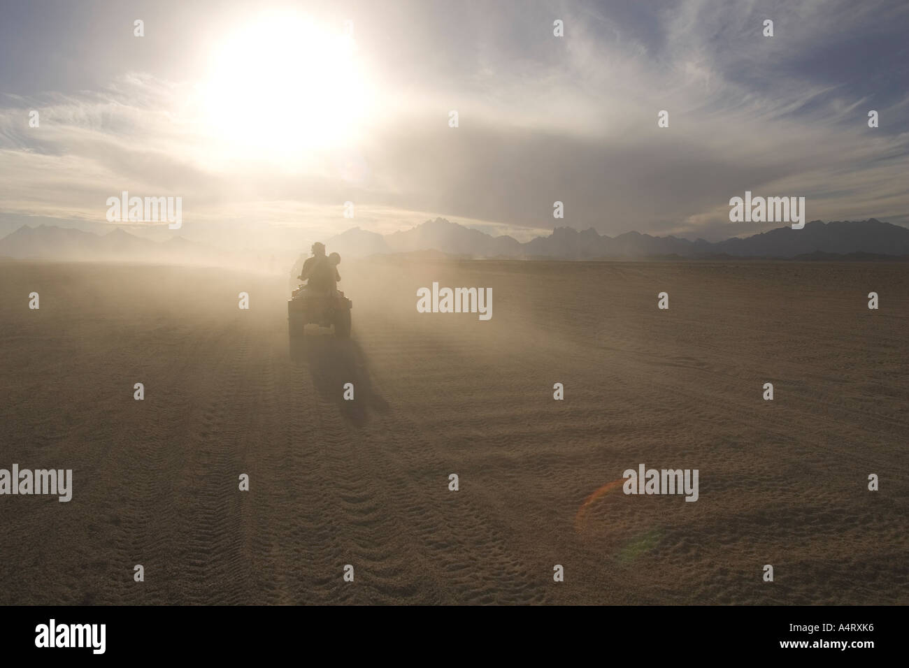 Rear view of people riding quad bikes Stock Photo - Alamy