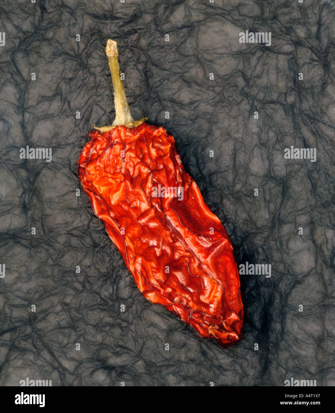 dried chilli pepper Stock Photo - Alamy