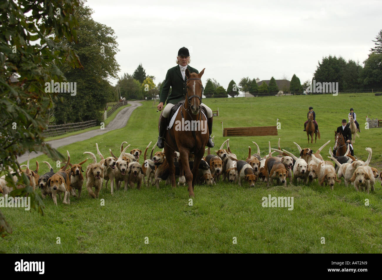 Hunting in Ireland Stock Photo - Alamy