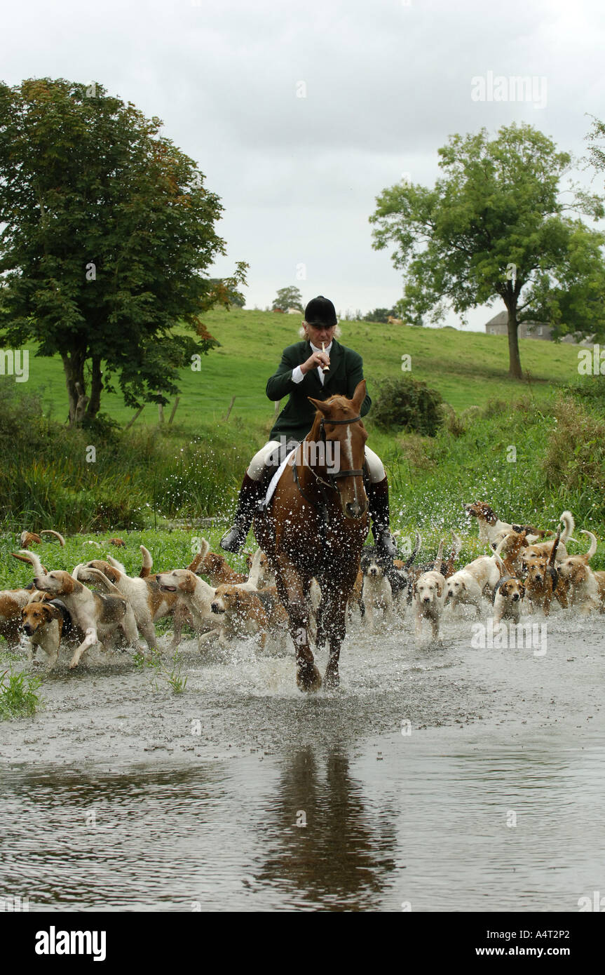 Hunting in Ireland Stock Photo - Alamy