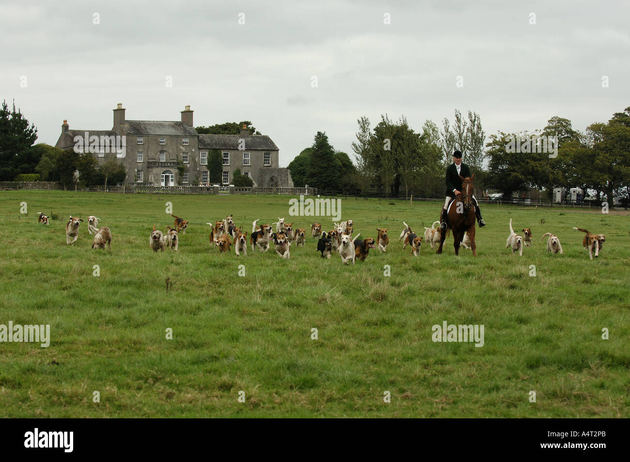 Hunting in Ireland Stock Photo - Alamy