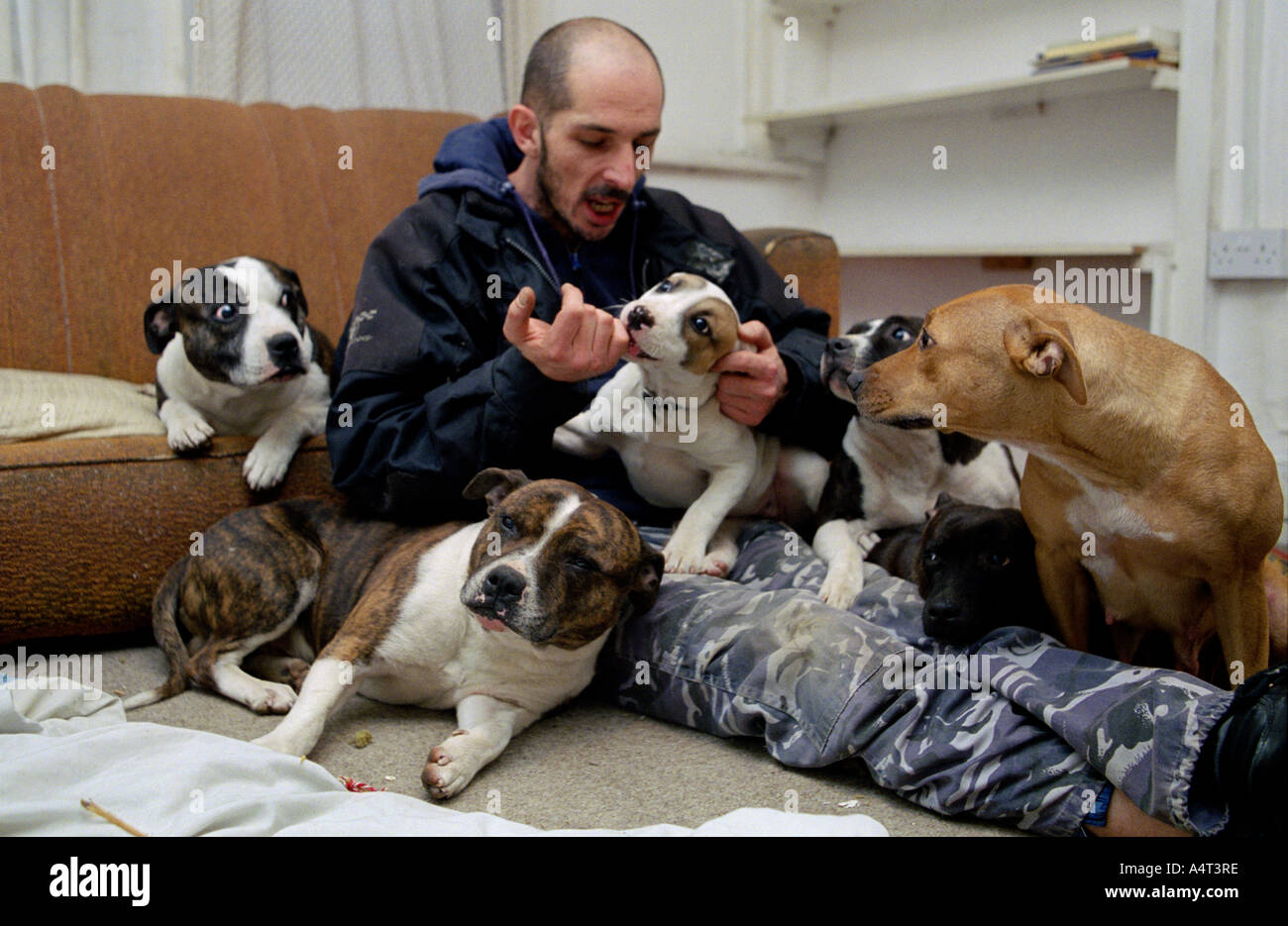 Man fighting with animals hi-res stock photography and images - Alamy