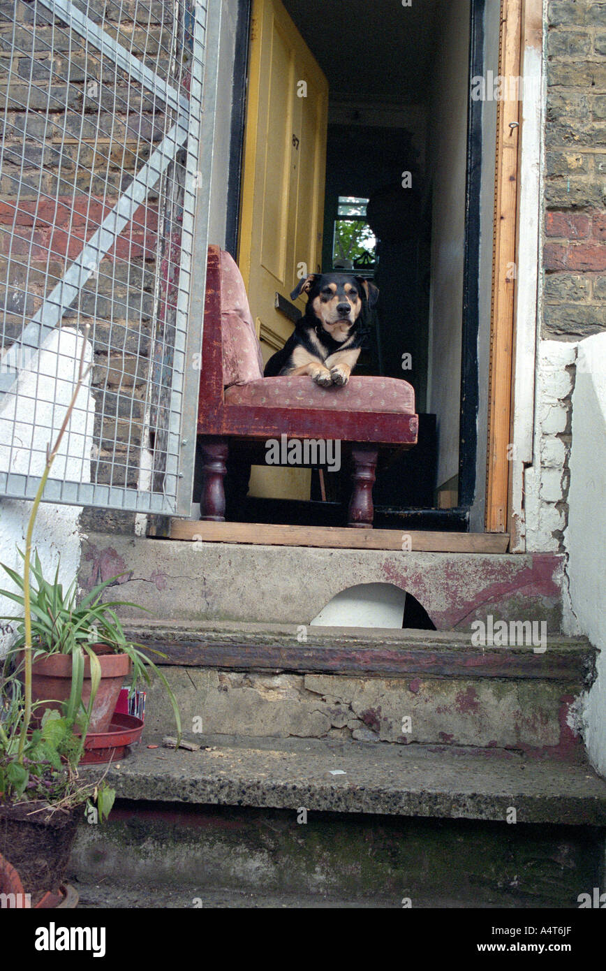 Squatted property hi-res stock photography and images - Alamy