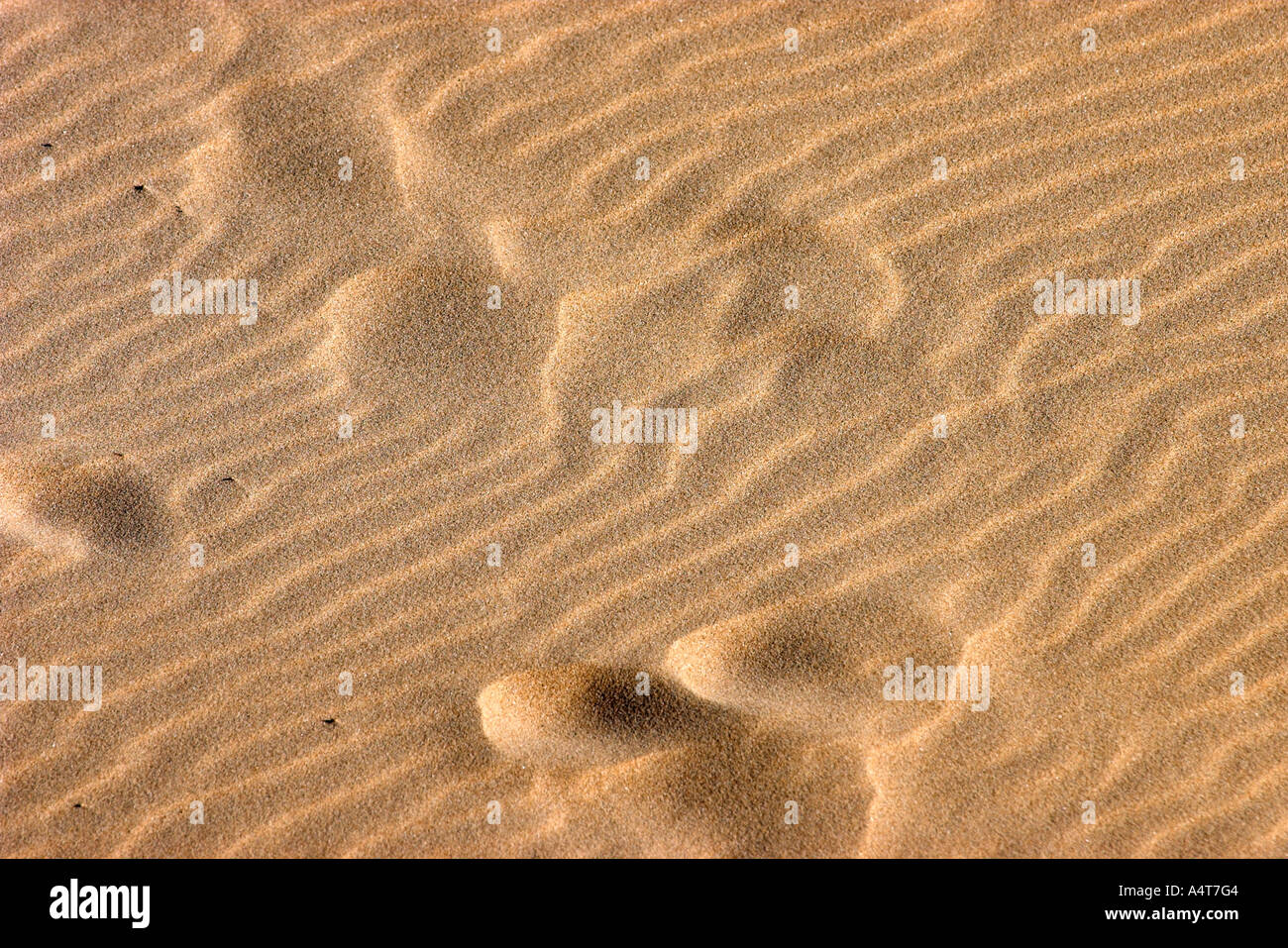 Footprints and wind ripples in the sand East Cliff Ramsgate Kent ...