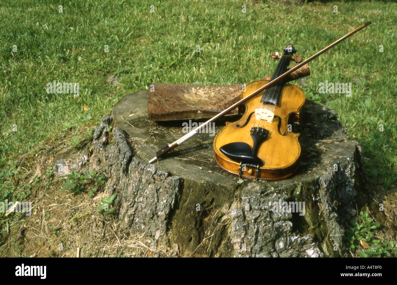 Fiddle and Bow On A Tree Stump Stock Photo - Alamy