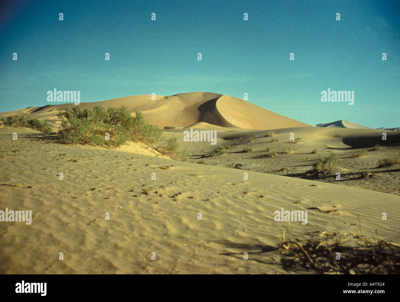 MIDDLE EAST SAUDI ARABIA Stock Photo - Alamy