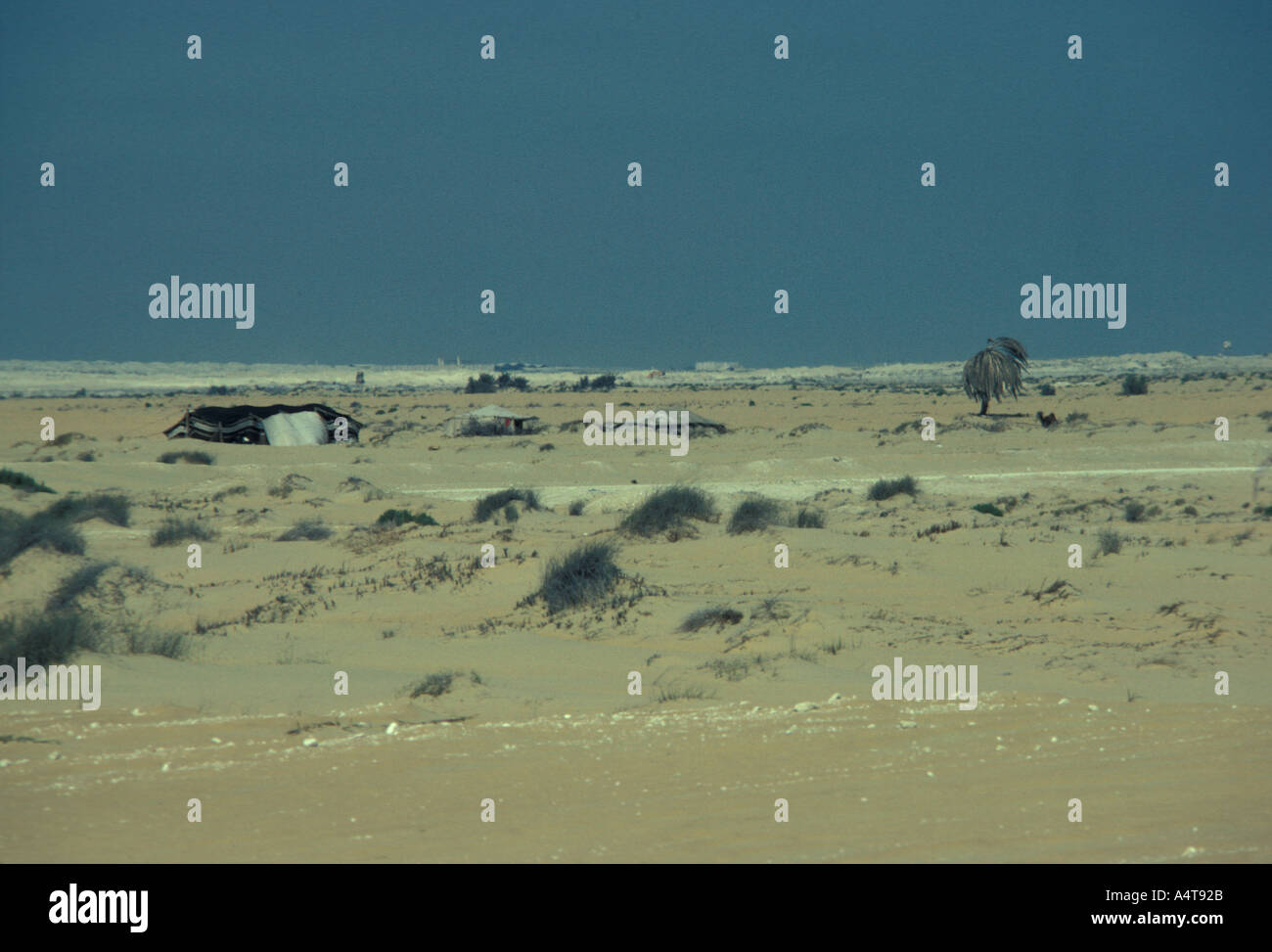 Middle east saudi arabia bedouin hi-res stock photography and images ...