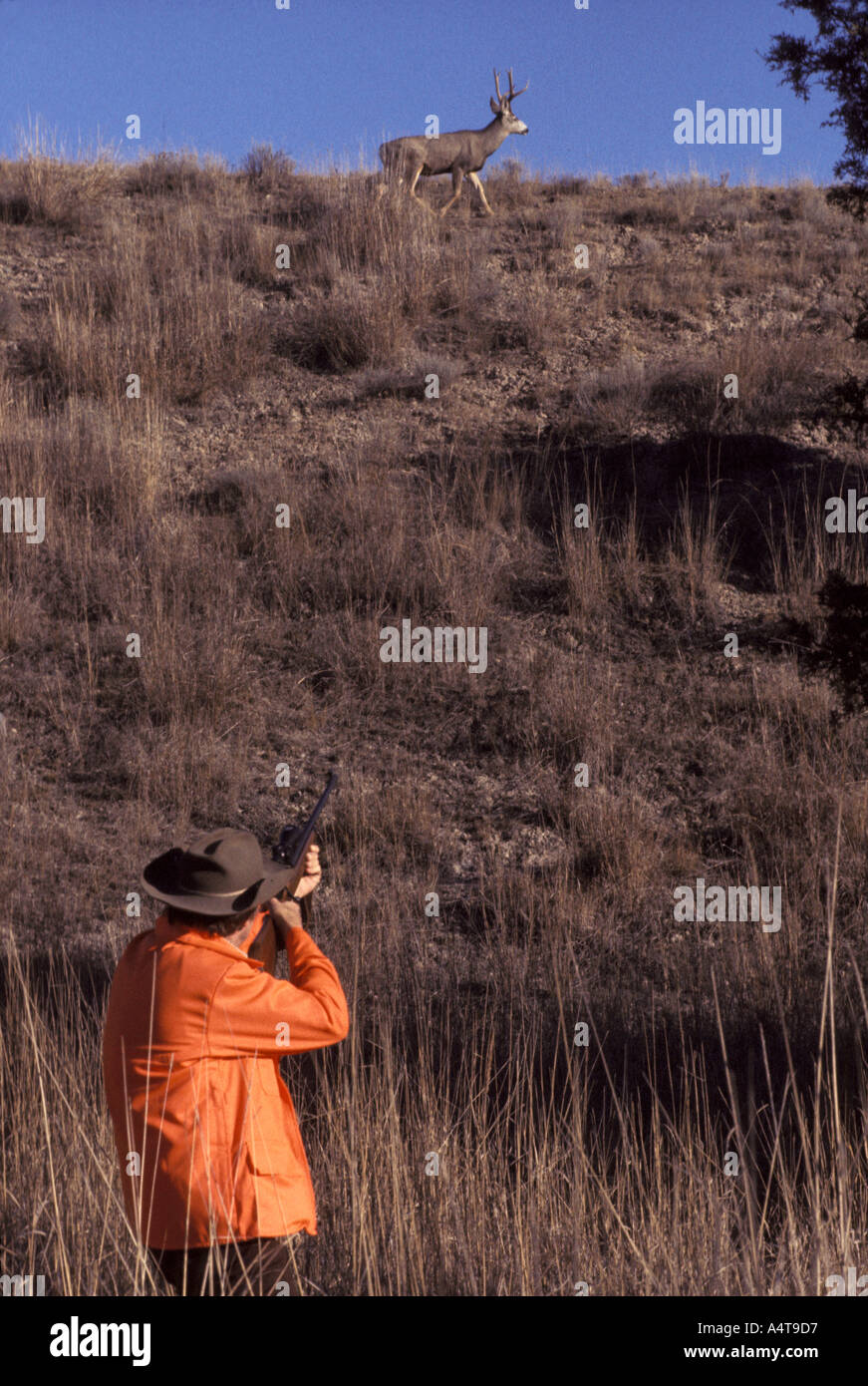 Sport hunting hi-res stock photography and images - Alamy