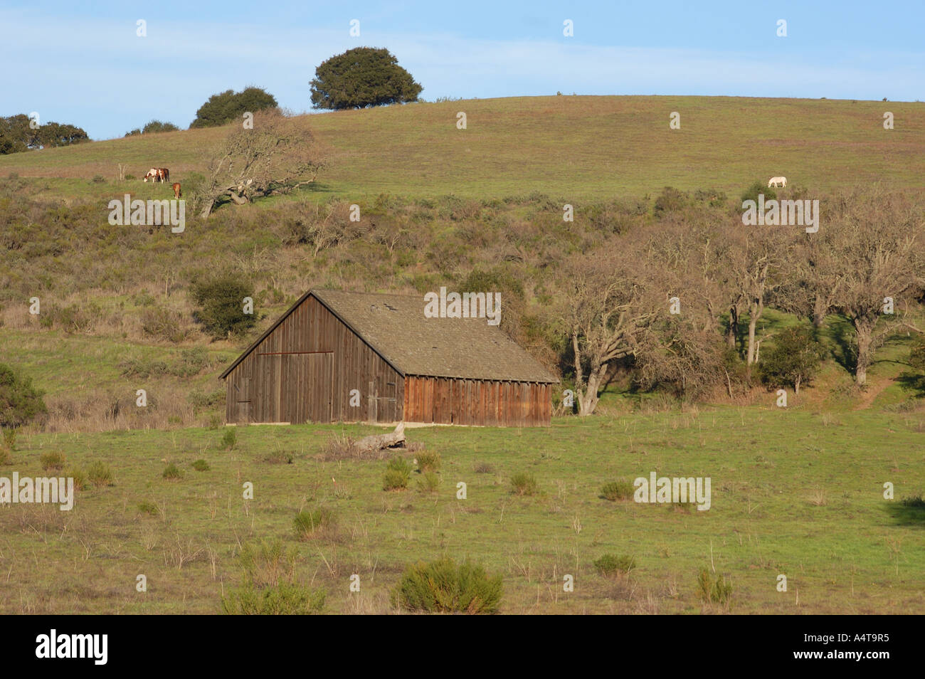 Little Wooden Barn Stock Photo - Alamy