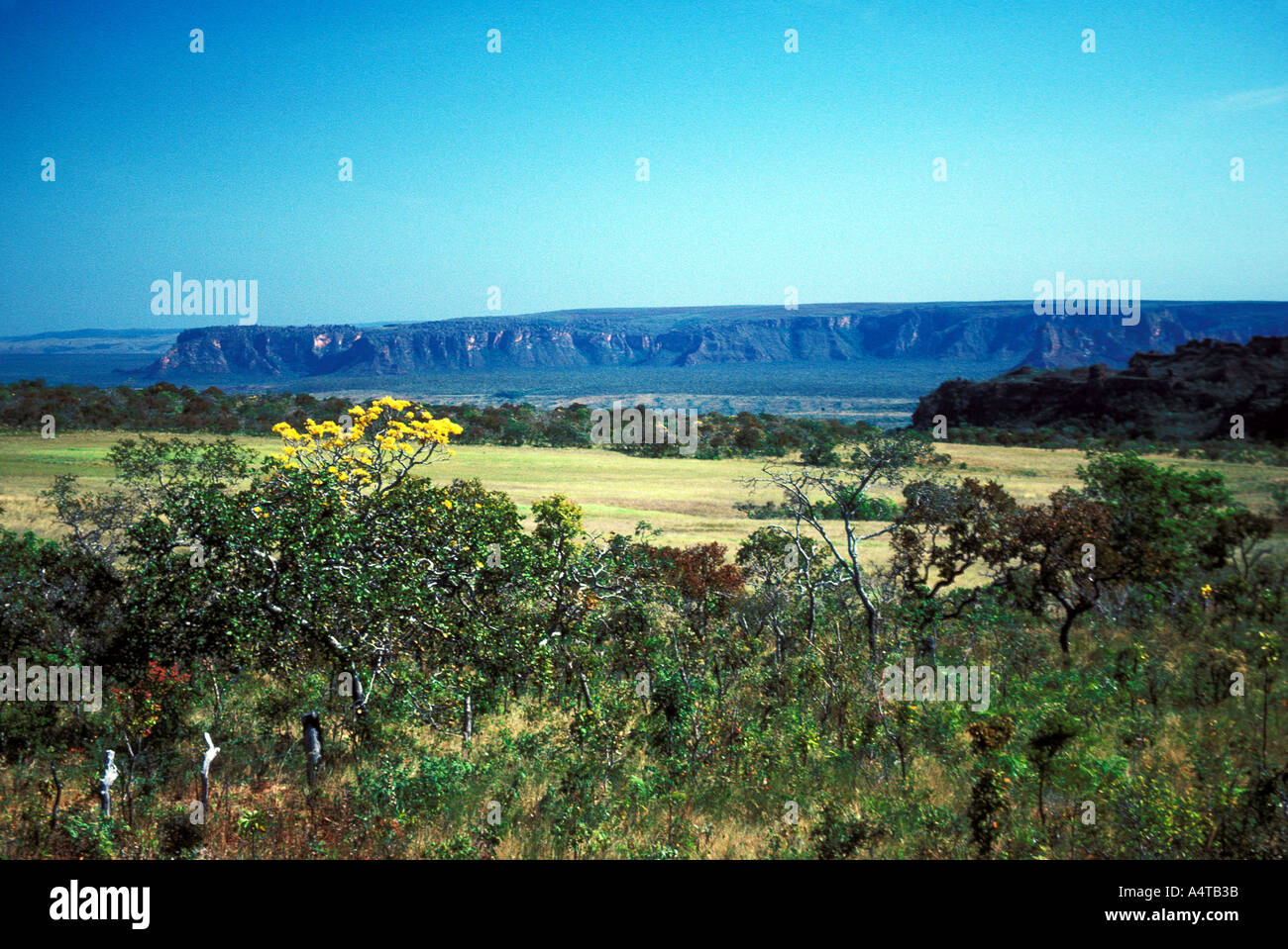 SOUTH AMERICA BRAZIL Mato Grosso Stock Photo - Alamy