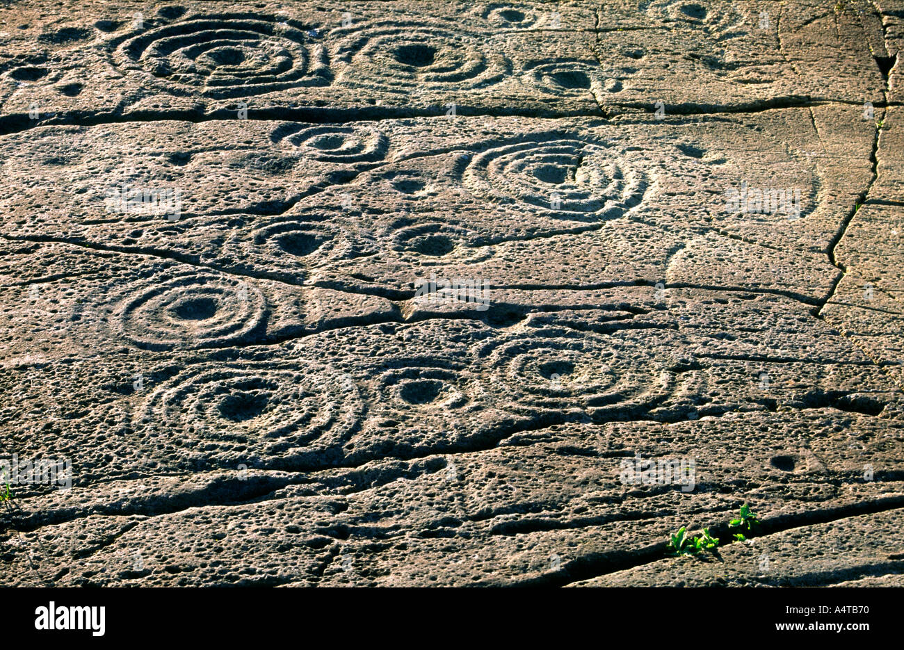 Prehistoric cup and ring mark marks carved stone rock art outcrop at ...
