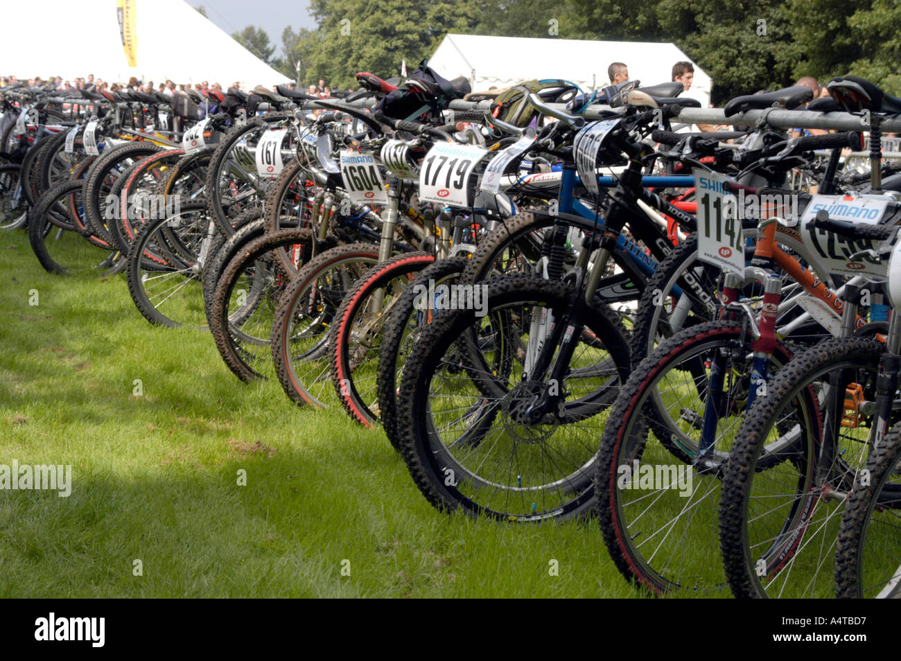 Bikes lined up for the start of the race Stock Photo - Alamy