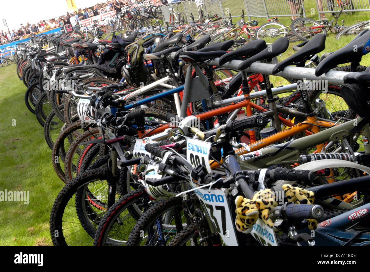Bikes lined up for the start of the race Stock Photo - Alamy