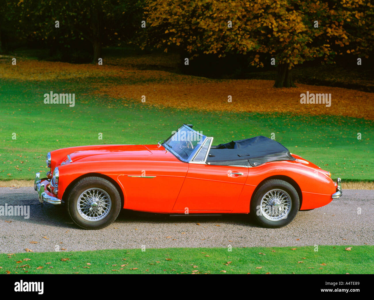 1961 austin healey hi-res stock photography and images - Alamy