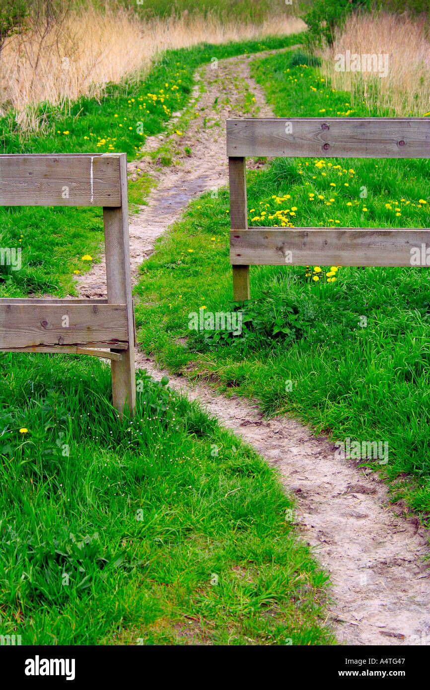 The shortcut pathway hi-res stock photography and images - Alamy