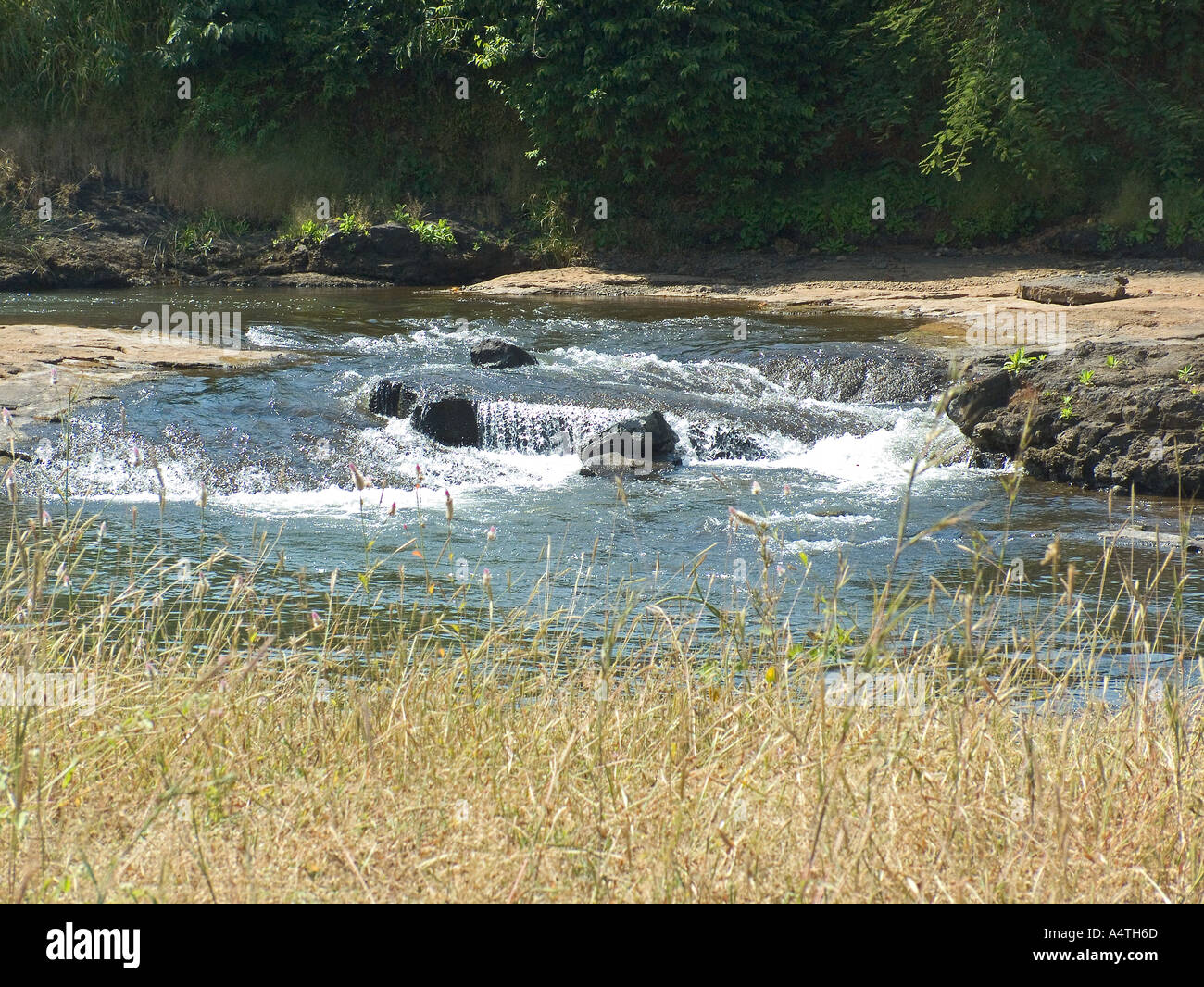 Ulhas river Kondivade Karjat Mumbai Bombay Maharashtra India Stock ...