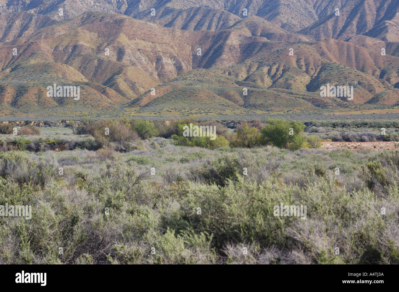 Cuyama hi-res stock photography and images - Alamy