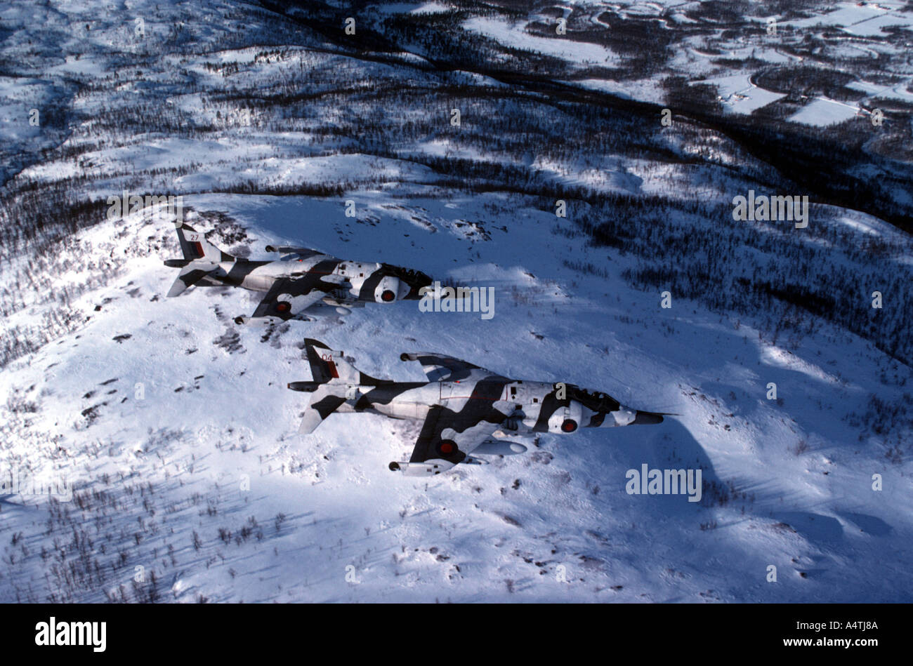 RAF Harriers in snow camouflage Stock Photo - Alamy