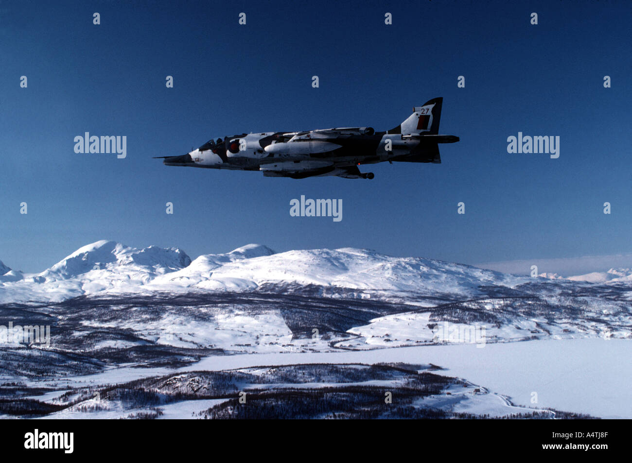 Raf Harrier High Resolution Stock Photography and Images - Alamy