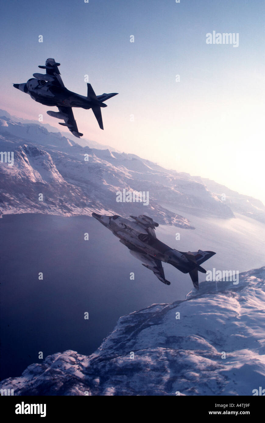 RAF Harriers in snow camouflage Stock Photo - Alamy