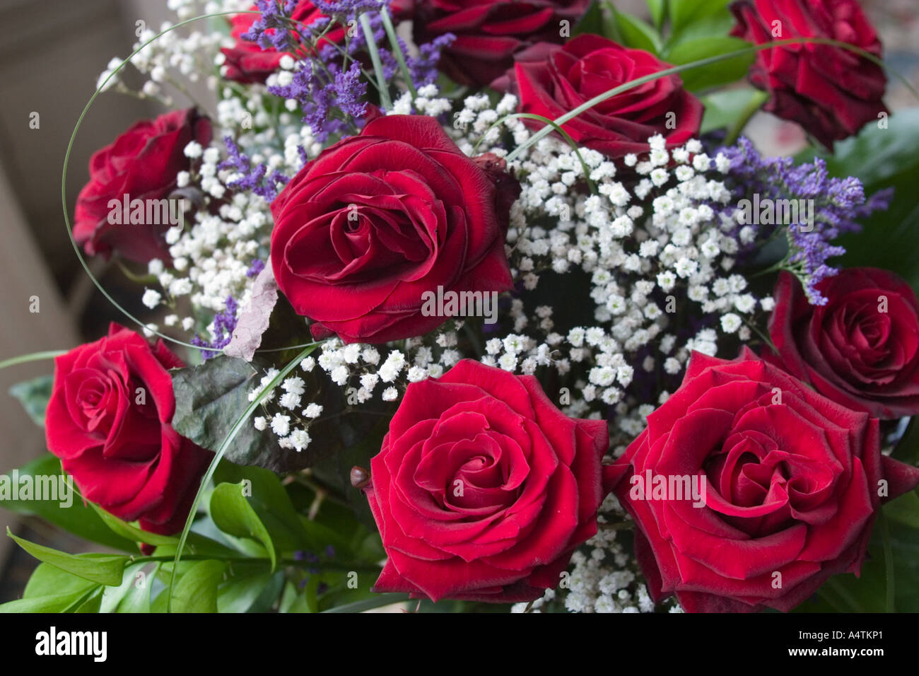 Bouquet of red roses Stock Photo - Alamy