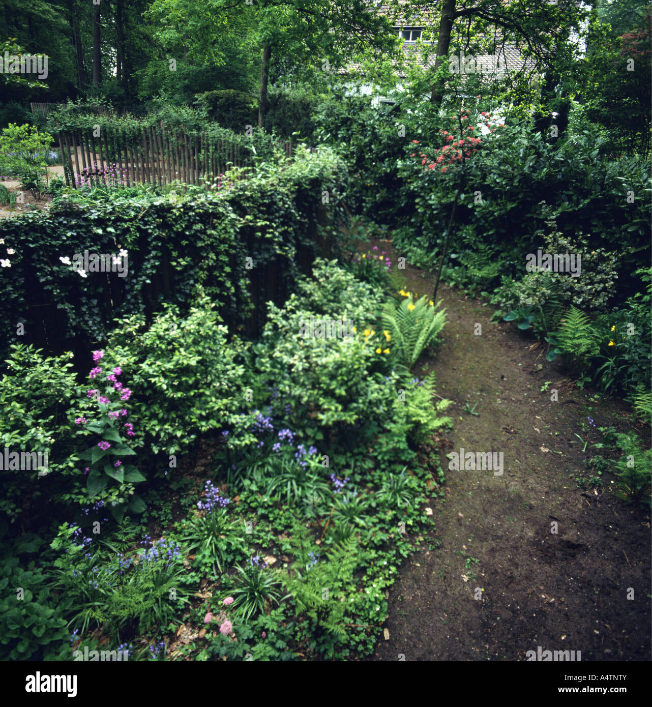 Path between hedges hi-res stock photography and images - Alamy