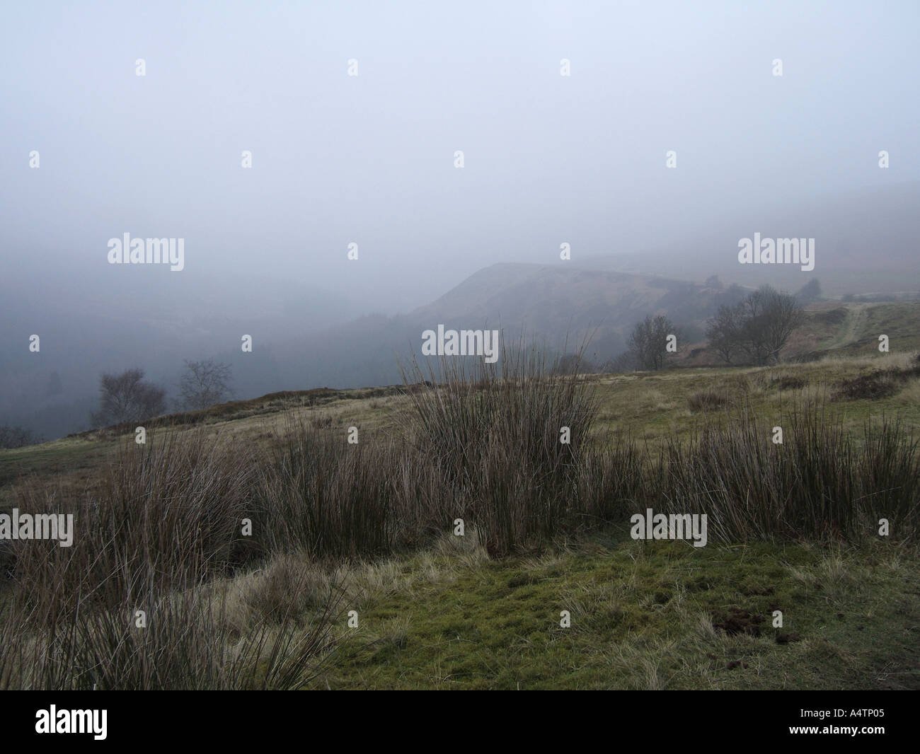 Leversham Moor in mist North Yorkshire Moors Stock Photo - Alamy