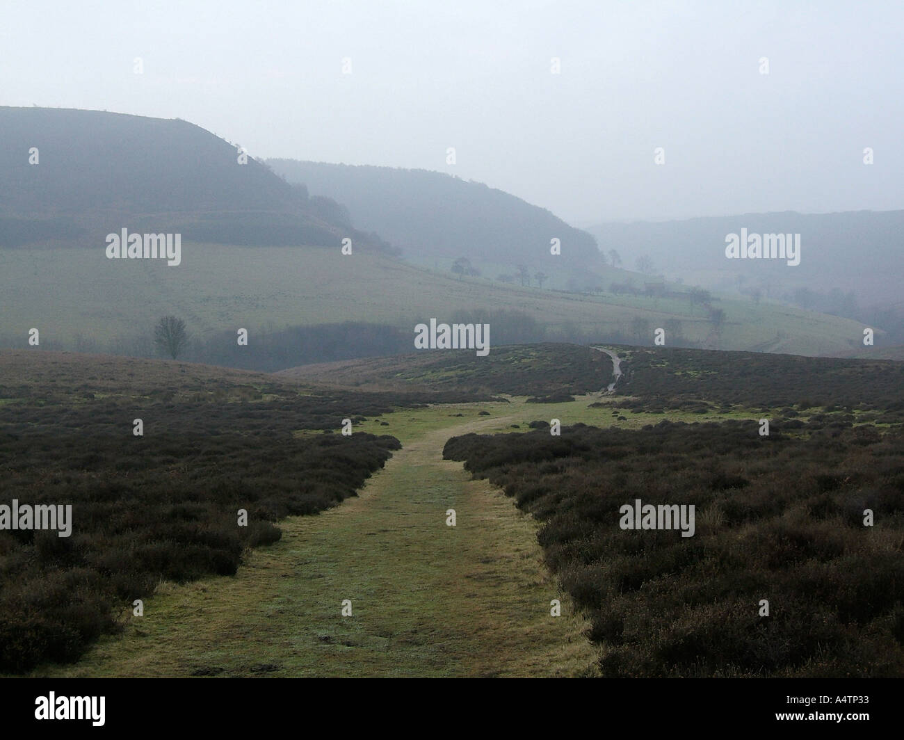 Hole of Horcum on the North Yorkshire Moors in mist Stock Photo - Alamy