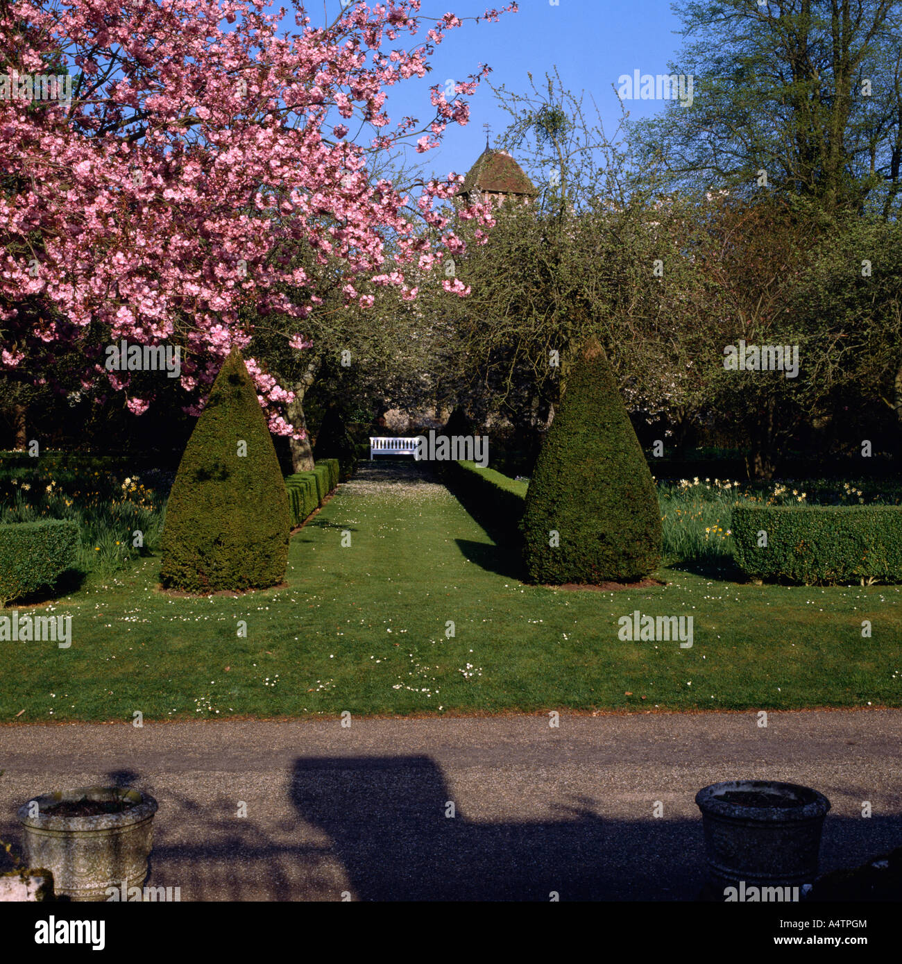 Large country garden in Spring with clipped topiary shrubs and pink ...
