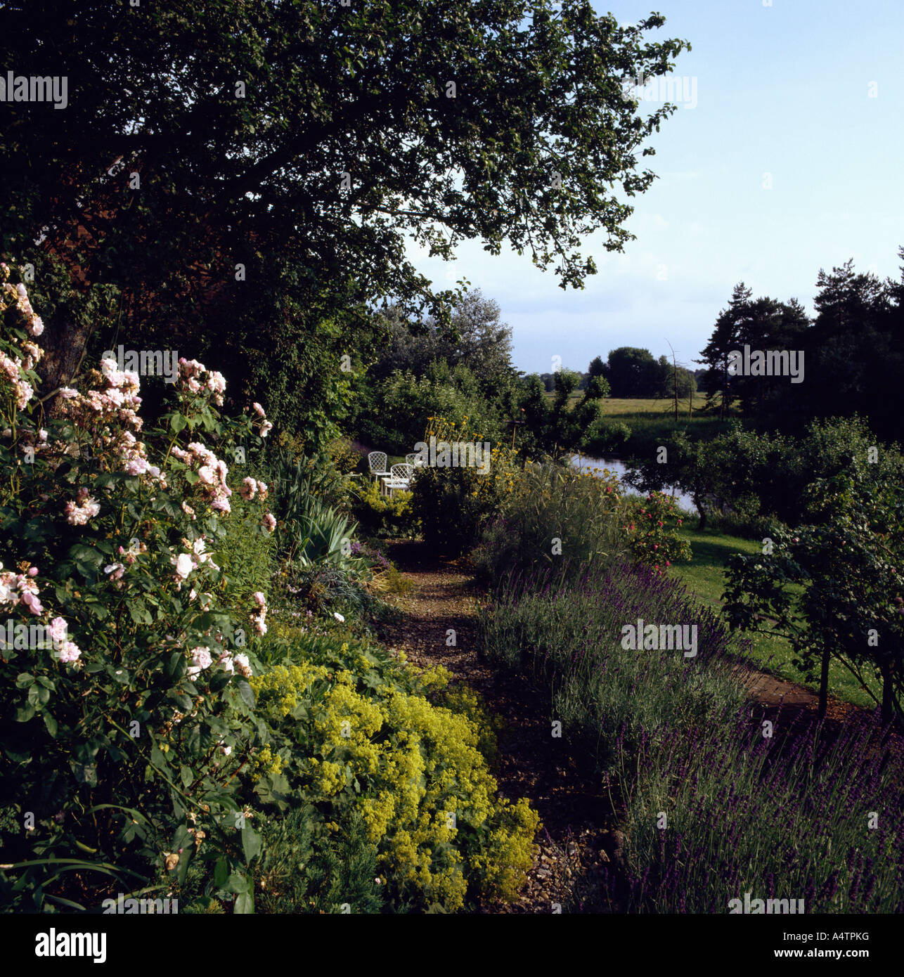 Lavender and pink roses beside gravel path by small river Stock Photo ...