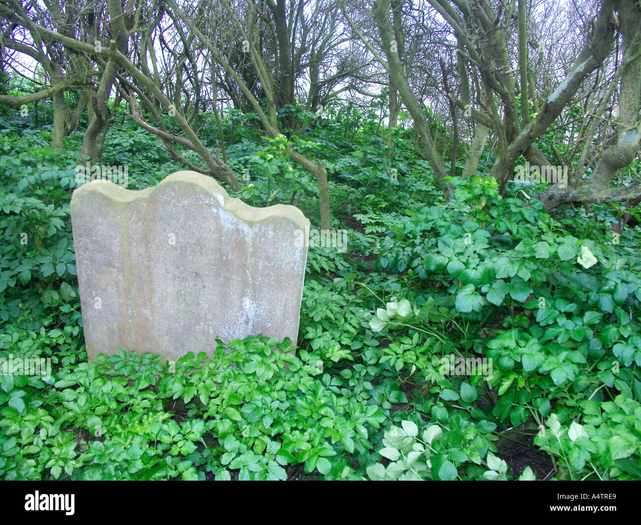 Suffolk grave erosion hi-res stock photography and images - Alamy