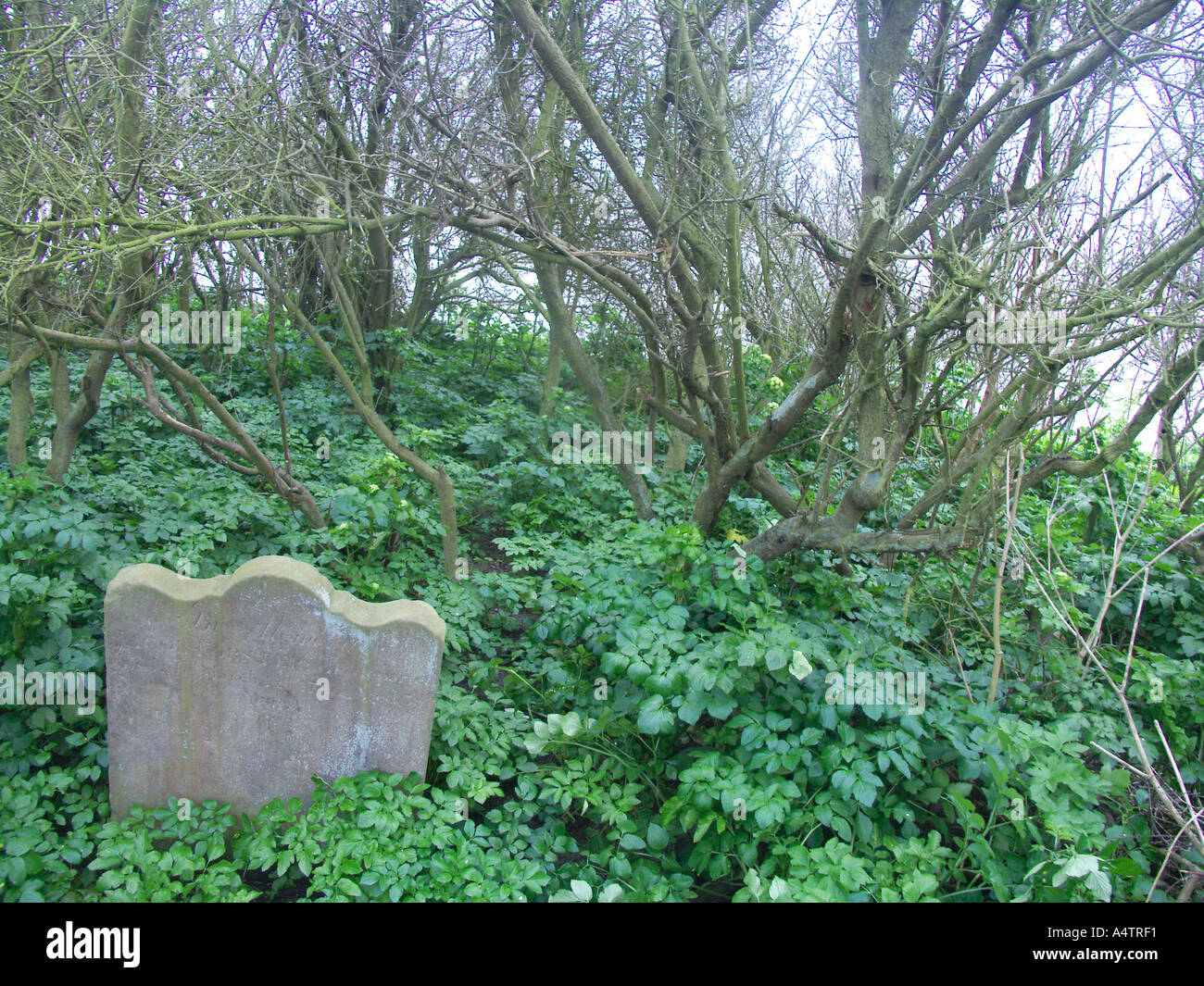 Folklore cliffs hi-res stock photography and images - Alamy