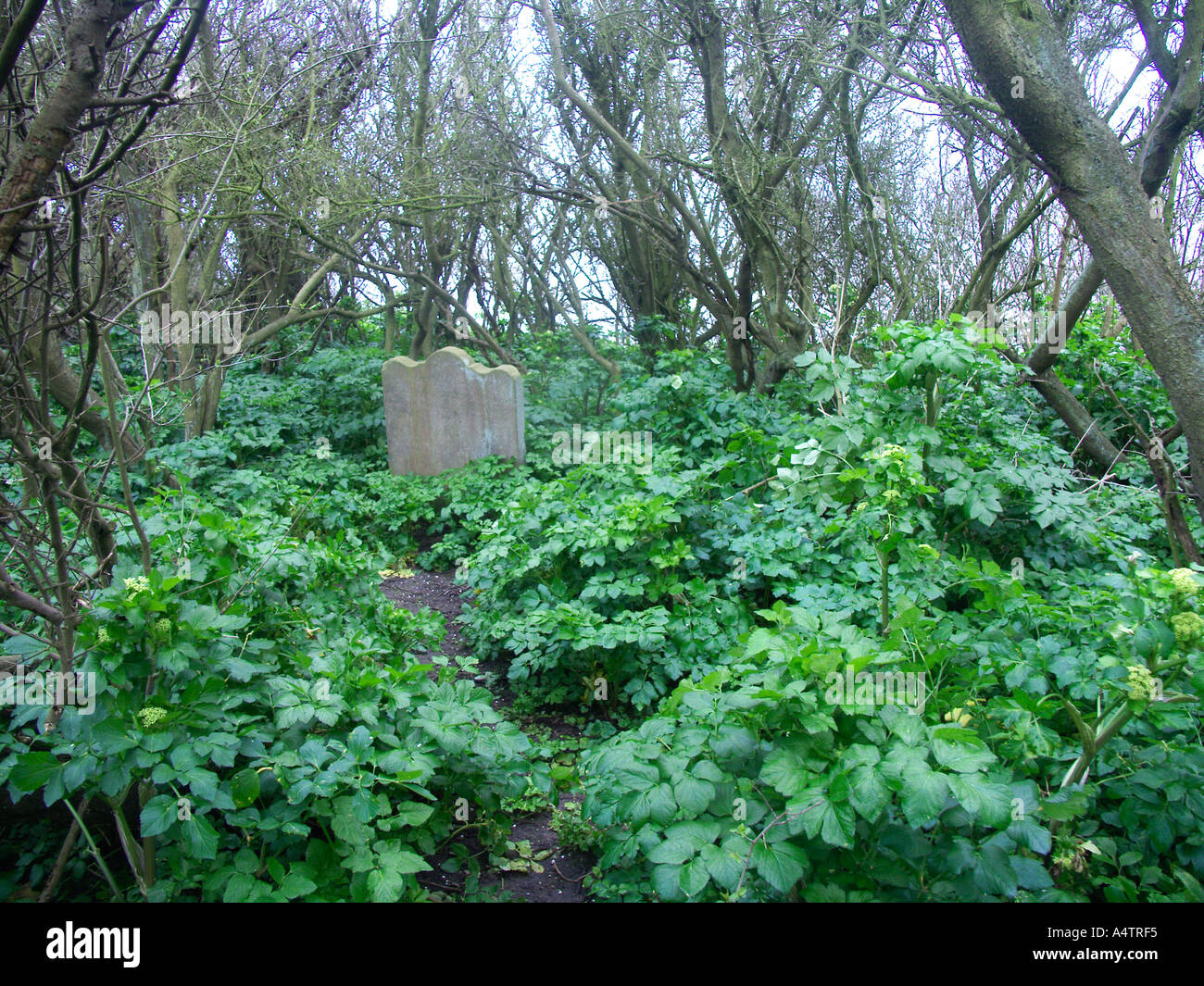 Suffolk grave erosion hi-res stock photography and images - Alamy