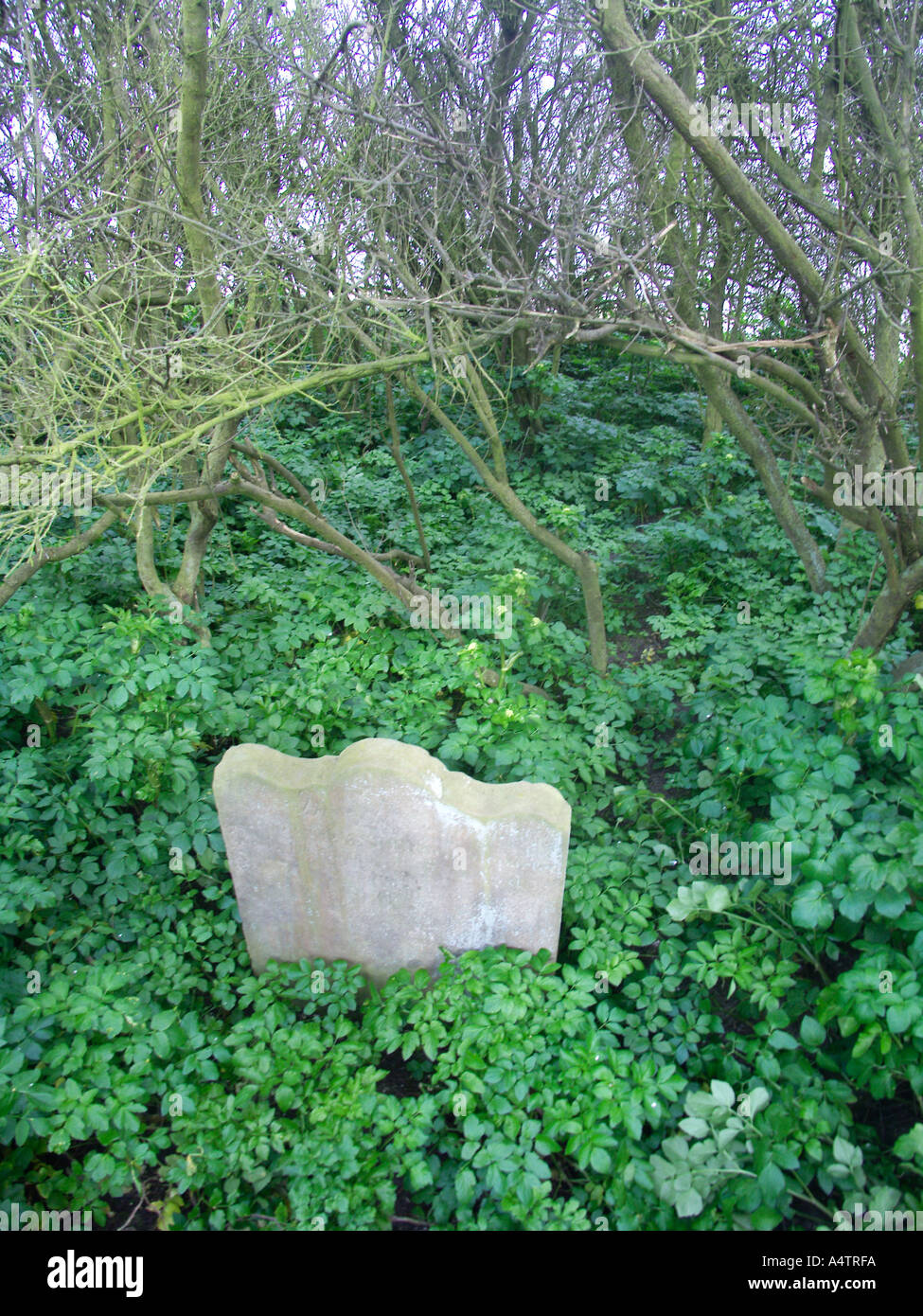 Folklore cliffs hi-res stock photography and images - Alamy