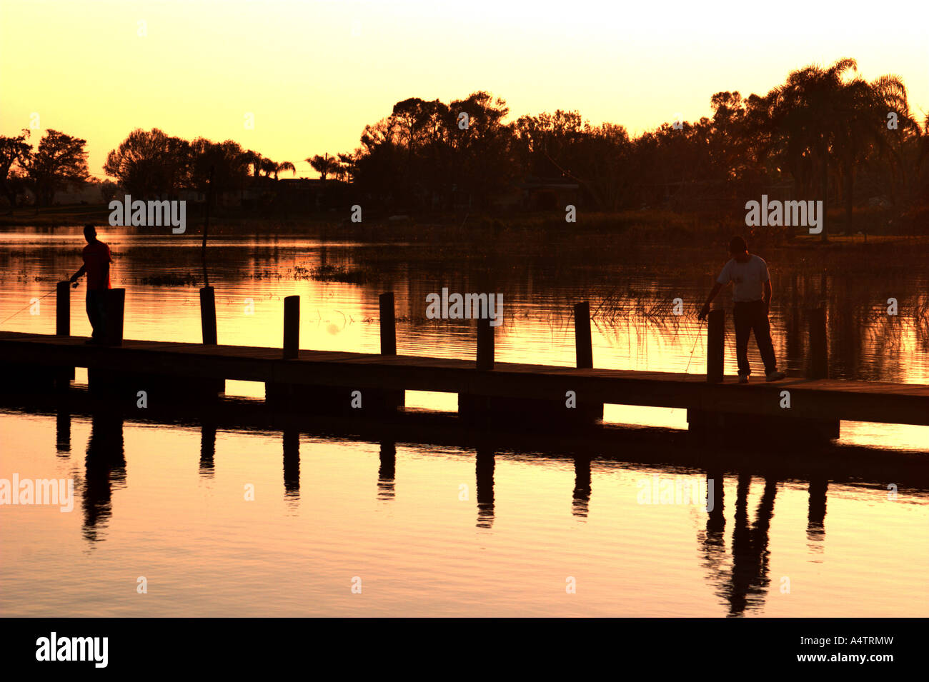 Florida lake at sunset Stock Photo - Alamy
