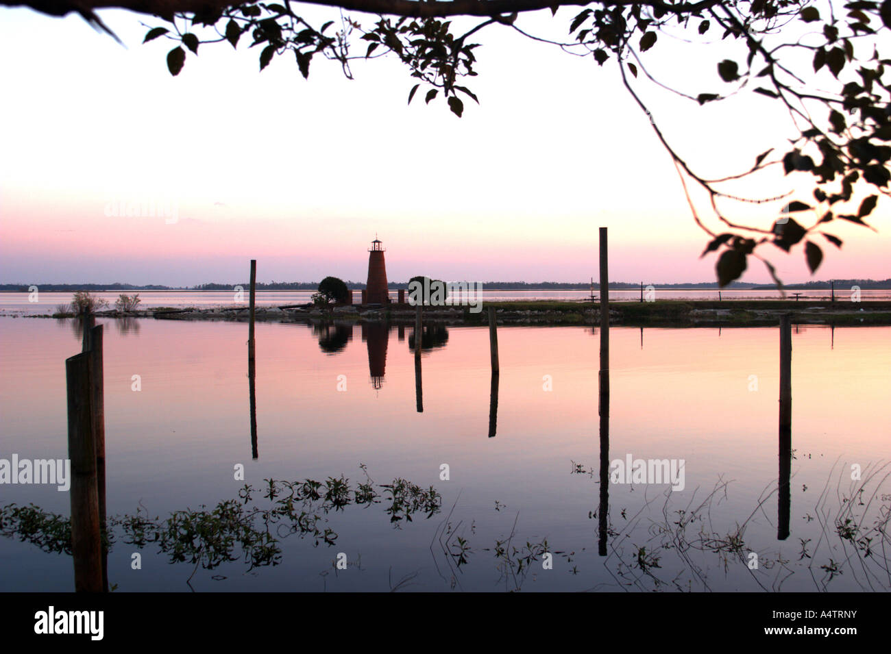 Florida lake at sunset Stock Photo - Alamy