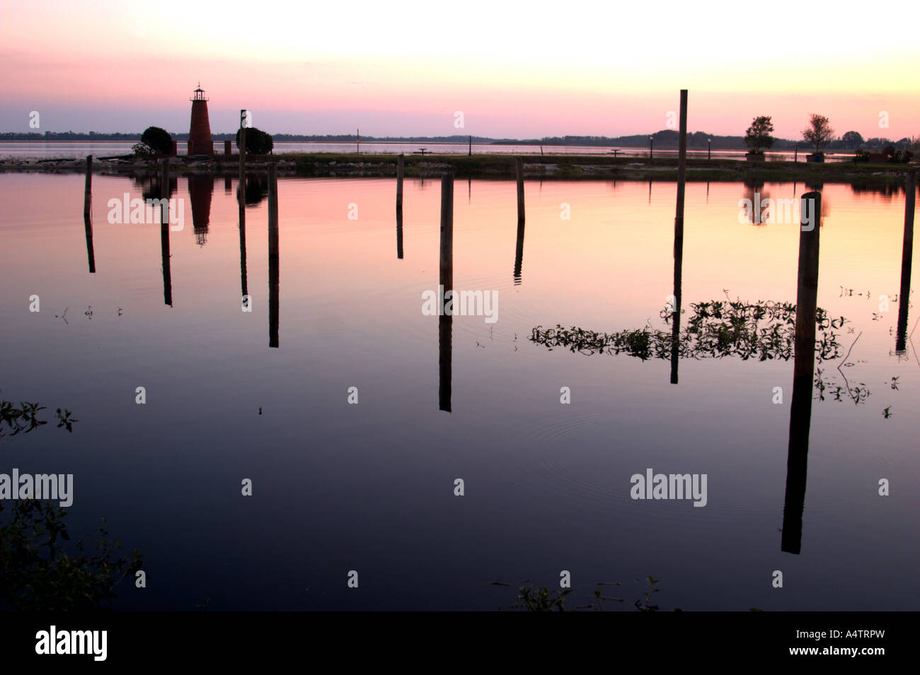 Florida lake at sunset Stock Photo - Alamy