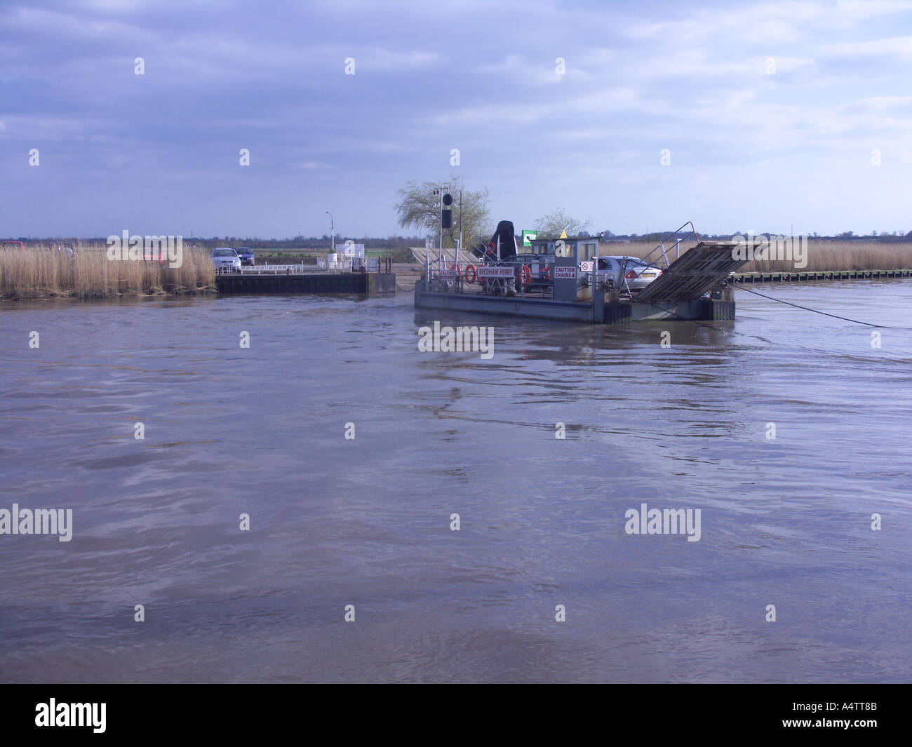 Reedham ferry crossing river Yare Norfolk England Stock Photo - Alamy