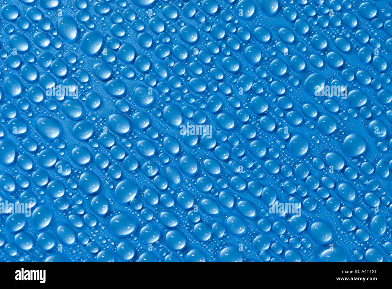 accumulation of many small blue water droplets accumulated on a surface ...